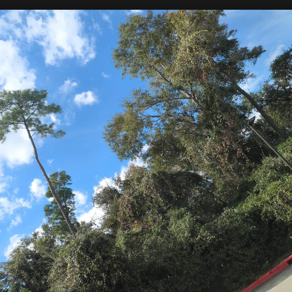 Interactive Sunset Effects